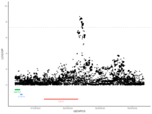 DecodeME: the biggest ME/CFS study ever - ME/CFS Science
