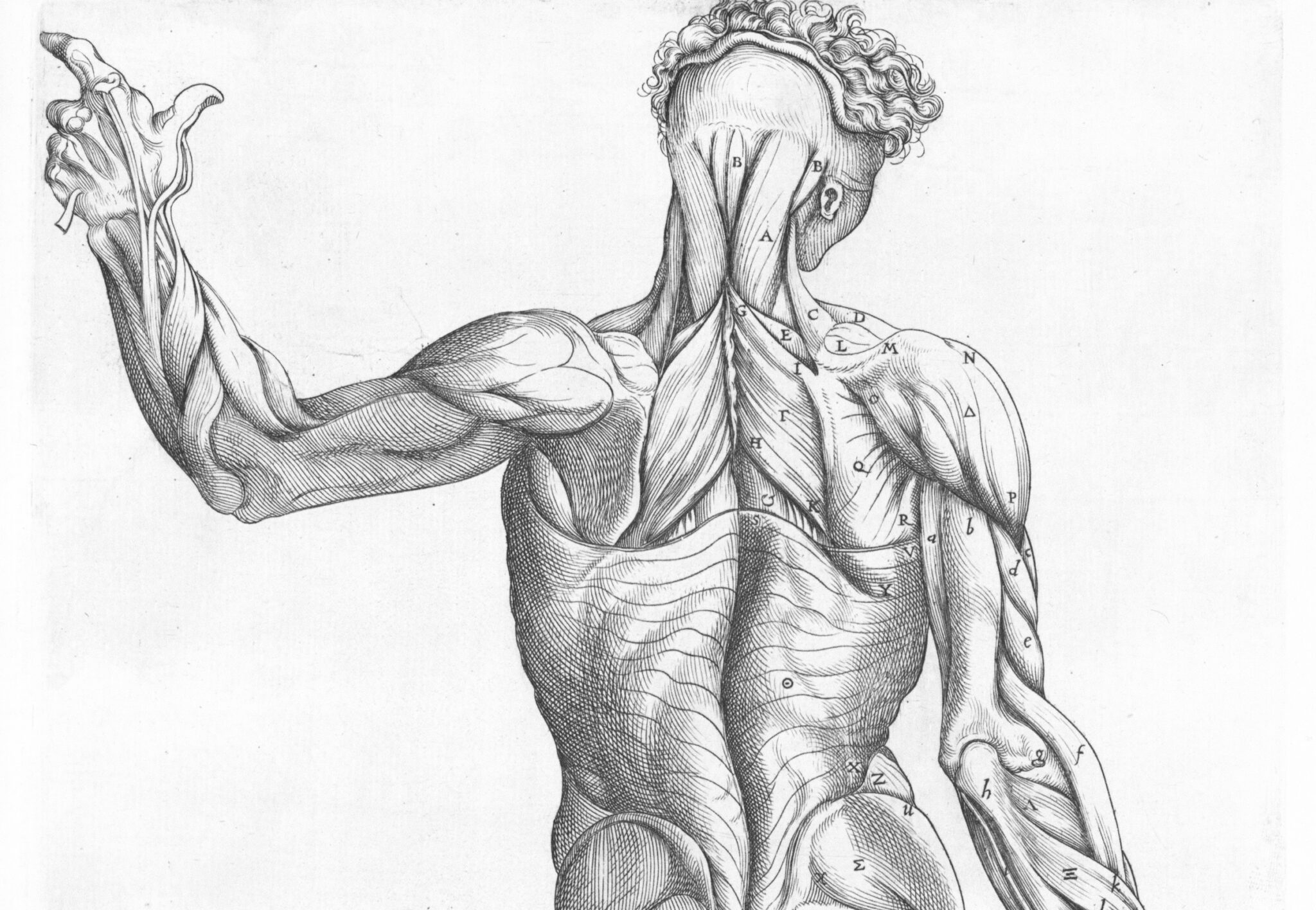 2025: looking back on a year of ME/CFS research - ME/CFS Science